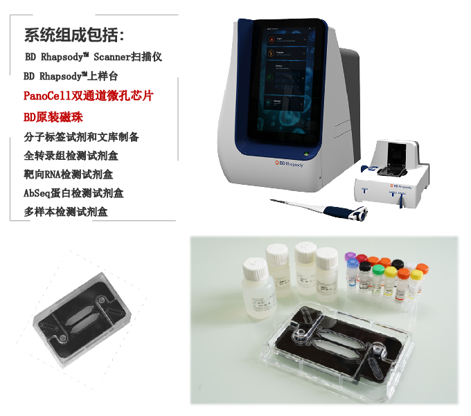 PanoCell 单细胞测序-项目-价格-上海烈冰生物医药科技有限公司