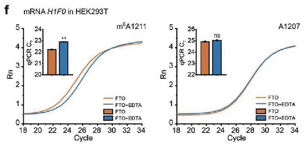 喜讯！表观生物获北大 SELECT-m6A 定量检测技术成果转化授权！ - 企业动态 - 丁香通