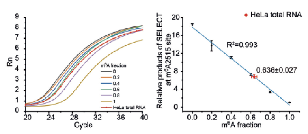 喜讯！表观生物获北大 SELECT-m6A 定量检测技术成果转化授权！ - 企业动态 - 丁香通