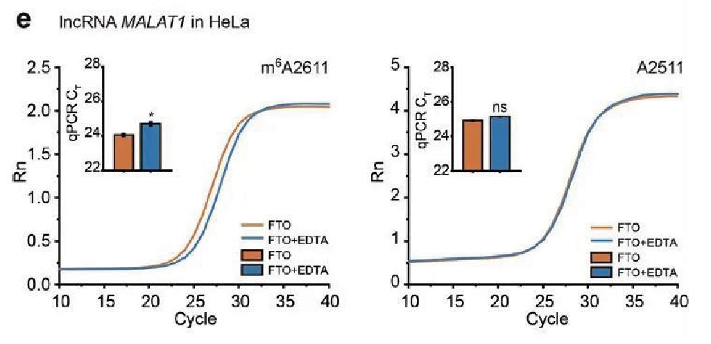 喜讯！表观生物获北大 SELECT-m6A 定量检测技术成果转化授权！ - 企业动态 - 丁香通