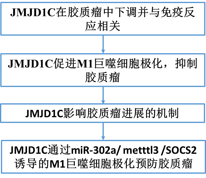 组蛋白去甲基化酶JMJD1C通过促进M1巨噬细胞极化预防胶质瘤 - 企业动态 - 丁香通
