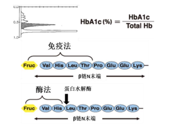 东曹糖化专题页面