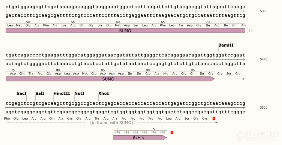 PET28a-SUMO质粒的使用说明及注意事项-公司新闻-智立中特（武汉）生物科技有限公司