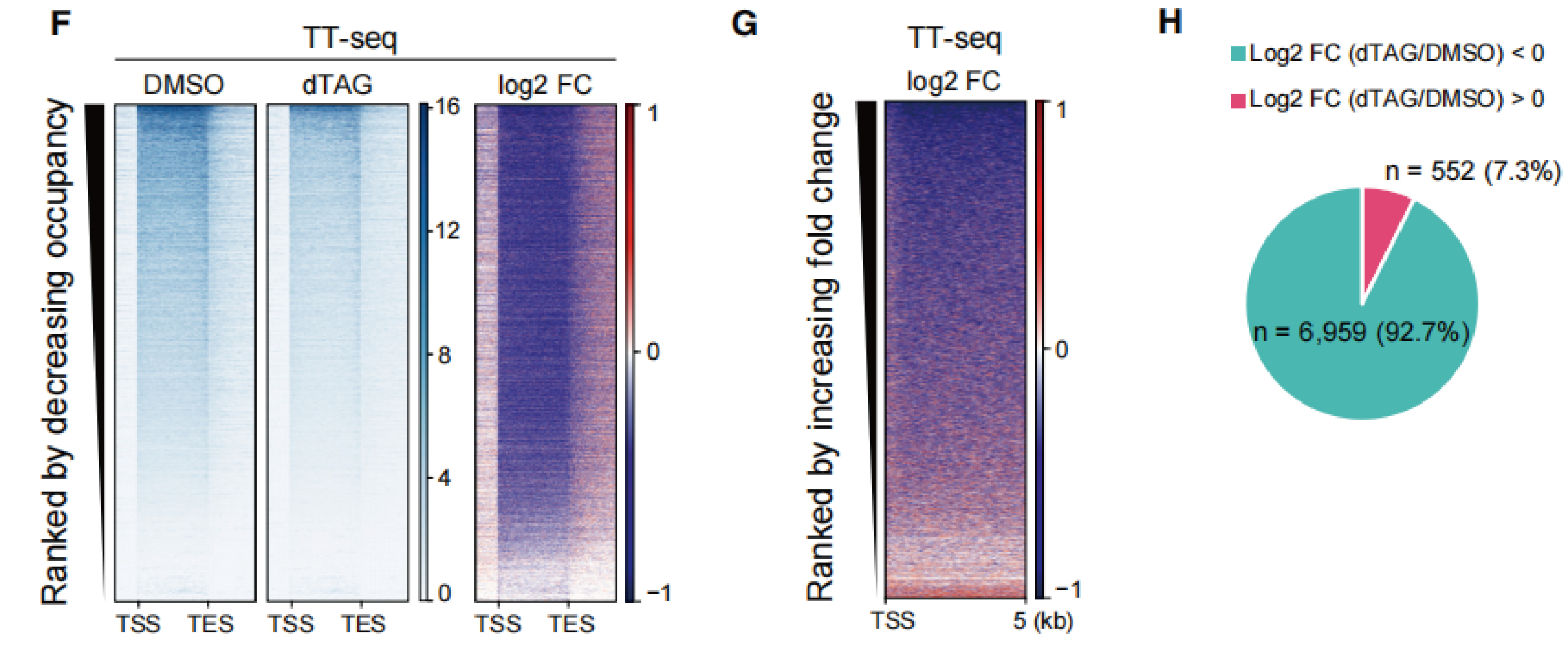 多组学方法共同揭示SPT5稳定RNA聚合酶II，协调转录运行-公司新闻-武汉康测科技有限公司