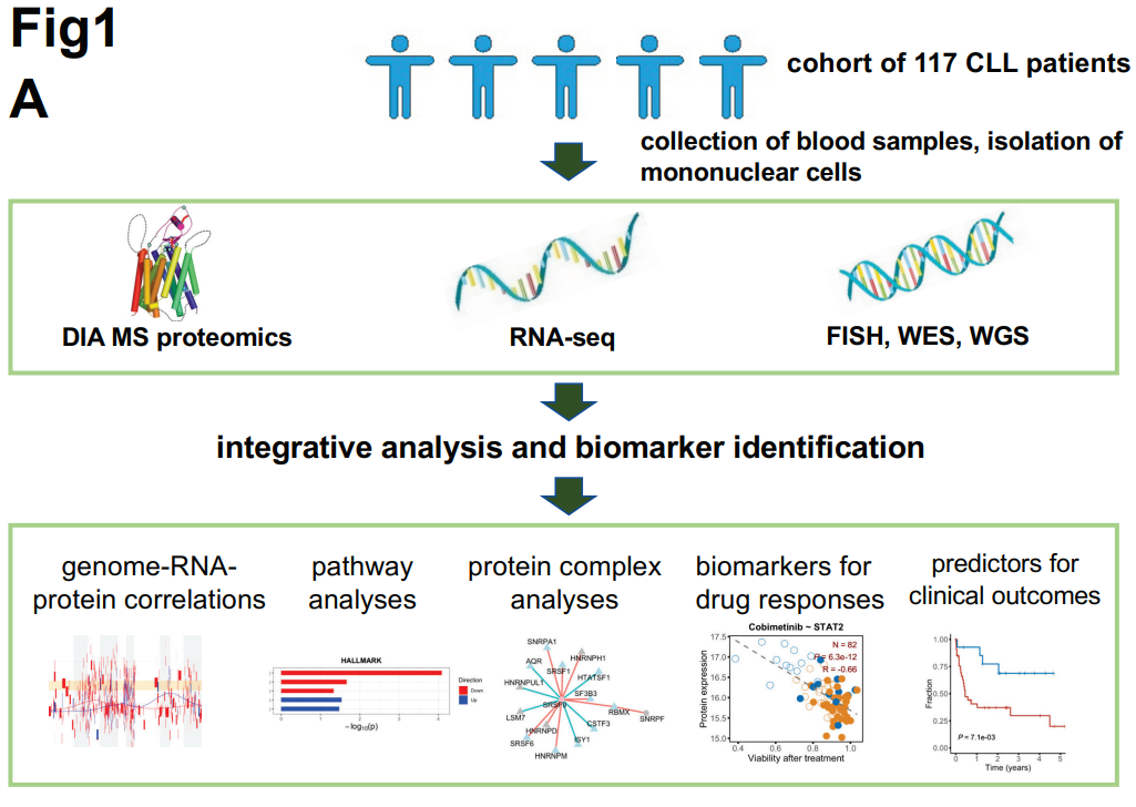 巨人肩膀上看世界——组学领军大牛频发DIA蛋白质组学高水平文章