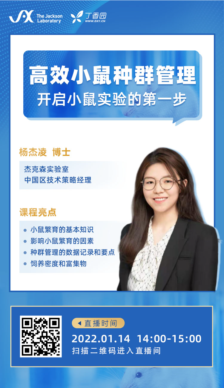 高效小鼠种群管理 - 丁香播咖