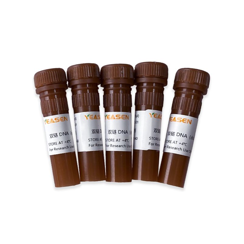 Picogreen双链D_价格-品牌-详情介绍_丁香通