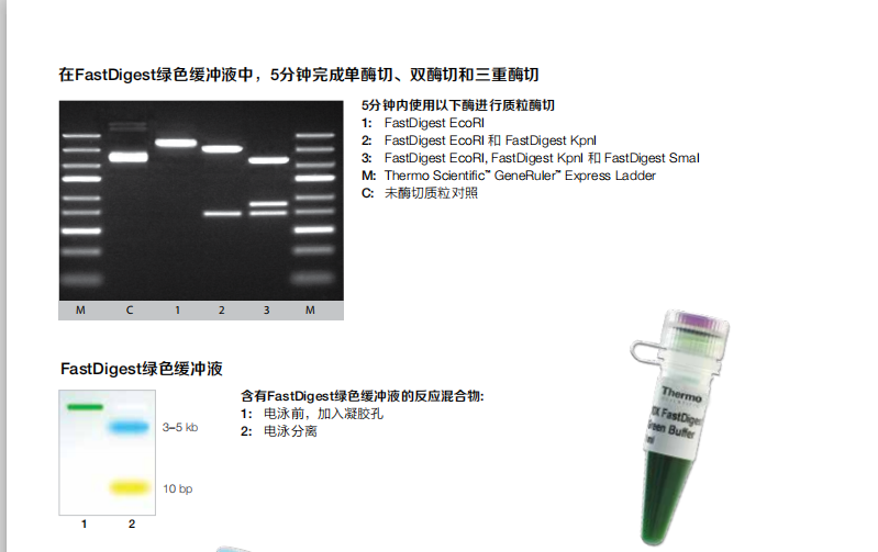 Thermo Scientific FastDigest 限制性内切酶-1价格_品牌:Thermo Scientific FastDigest ...