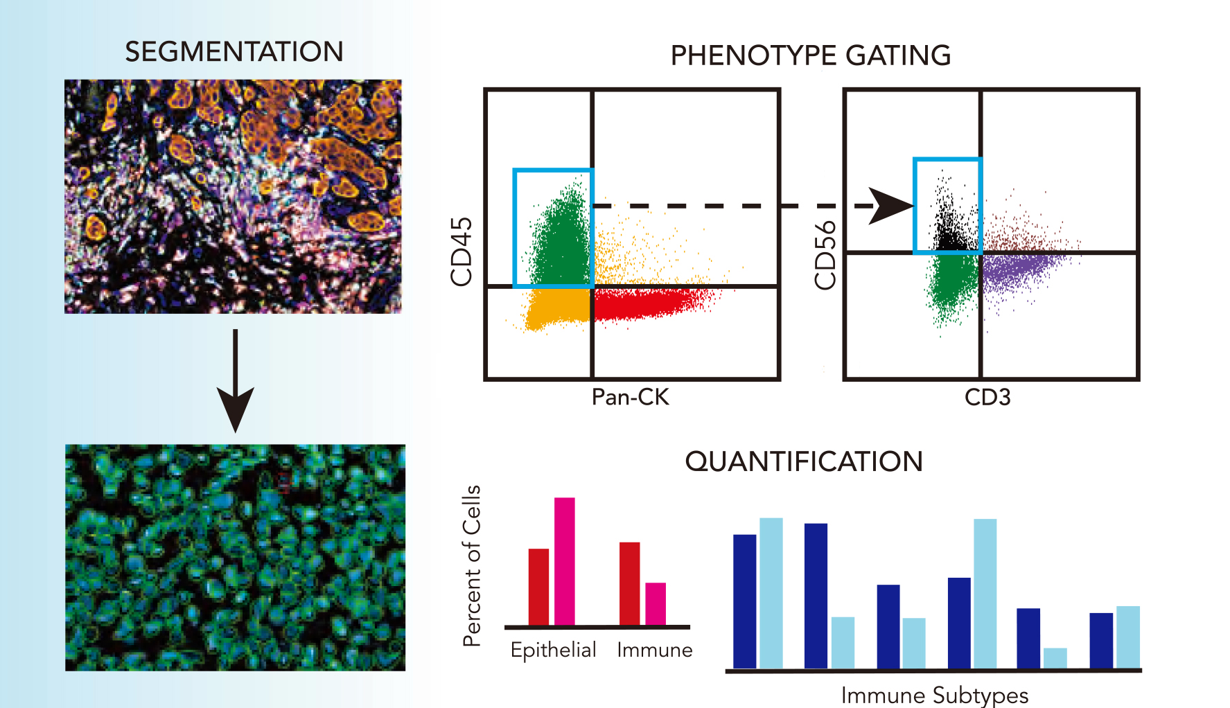 【新品发布】Canopy公司推出新一代微环境多靶标蛋白分析系统CellScape™， 与上代产品相比，相同时间内可获得两倍的数据量，且图像 ...