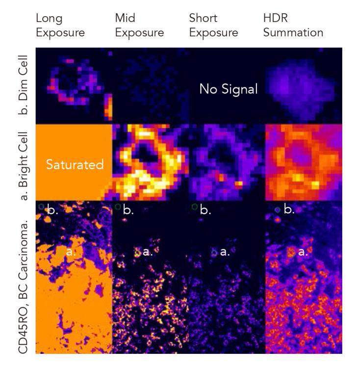 【新品发布】Canopy公司推出新一代微环境多靶标蛋白分析系统CellScape™， 与上代产品相比，相同时间内可获得两倍的数据量，且图像 ...