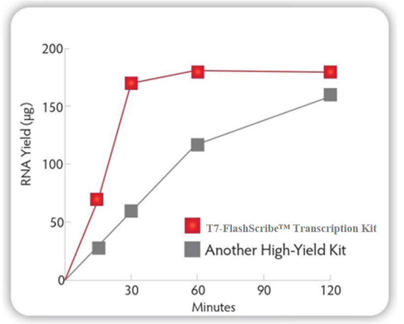T7快速体外转录试剂盒助力DNA到RNA大步快跑 - 企业动态 - 丁香通
