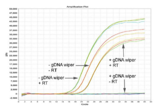师兄支招！qPCR 结果 Ct 值小不一定好，关键是...... - 丁香园