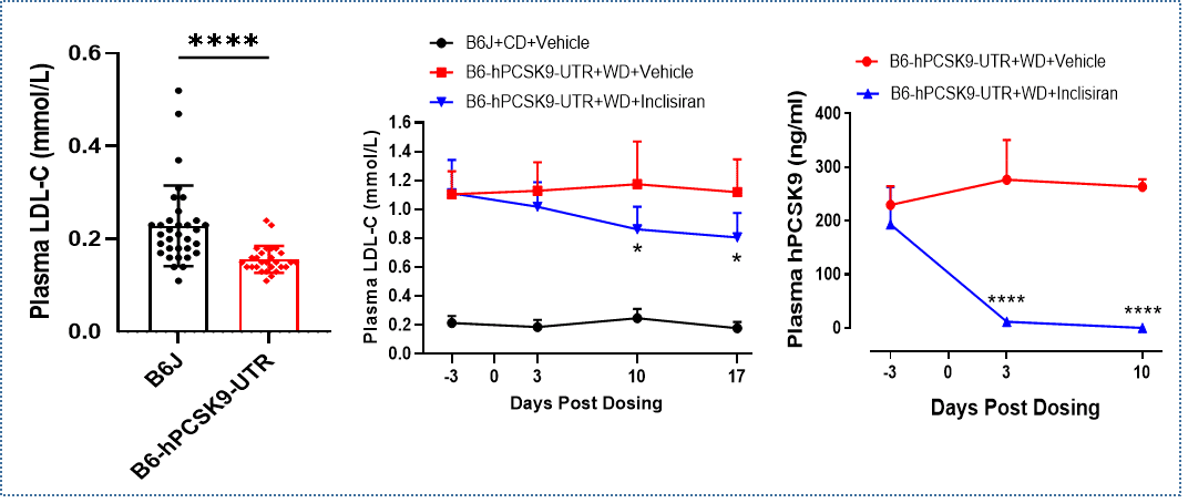 B6-hPCSK9-UTR新品小鼠来袭，助力抗体类、核酸类药物药效评价 - 企业动态 - 丁香通