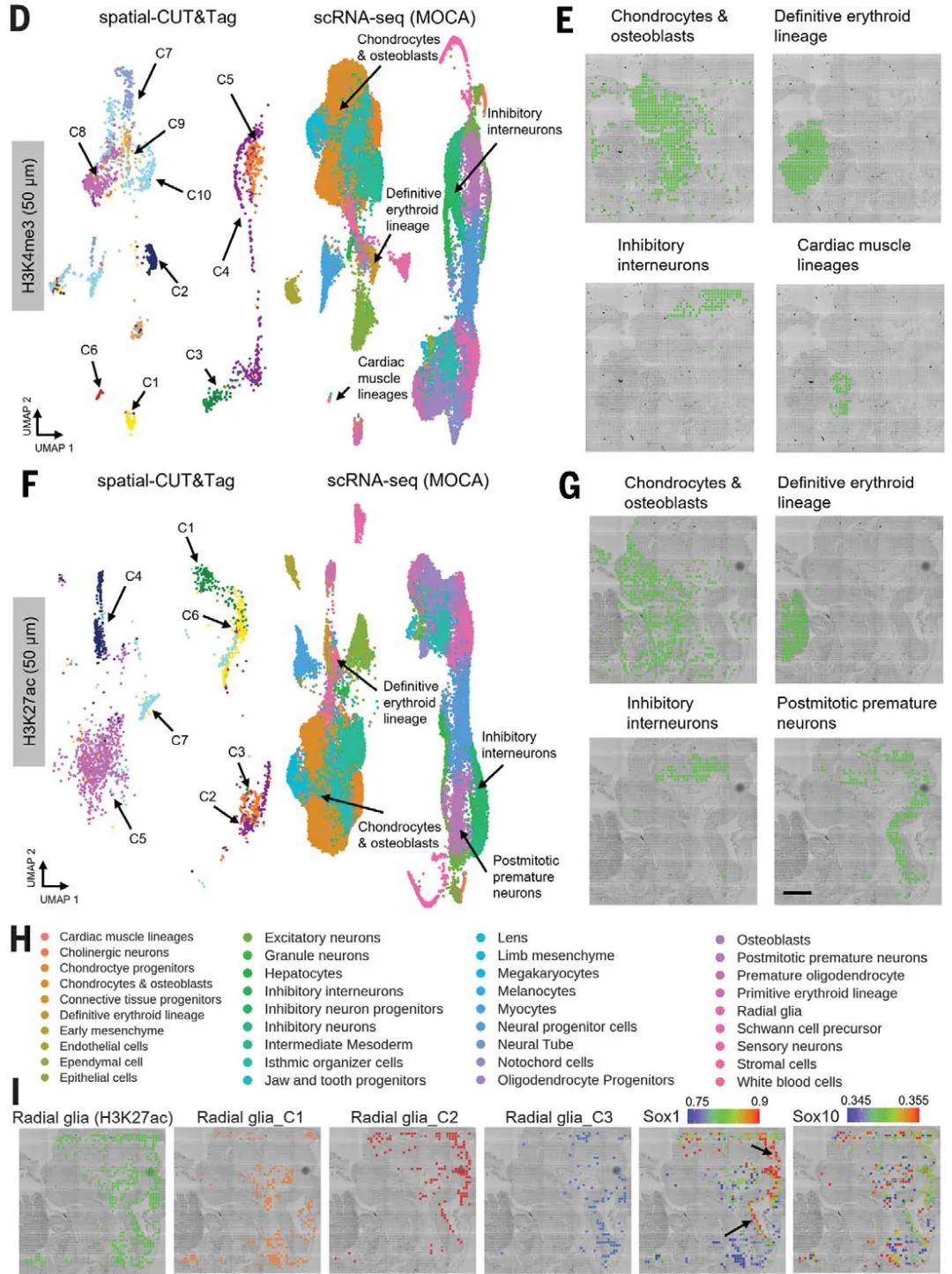 突破！CUT&Tag技术首次被应用于空间组学！ - 企业动态 - 丁香通