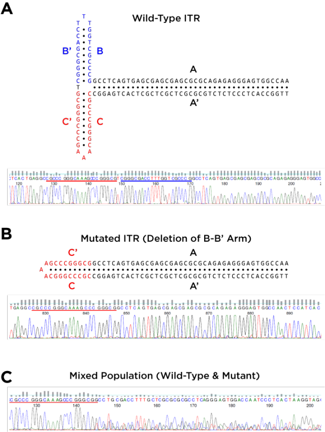 ITR 检测困难重重，AAV 质粒质控痛点如何解决？ - 企业动态 - 丁香通