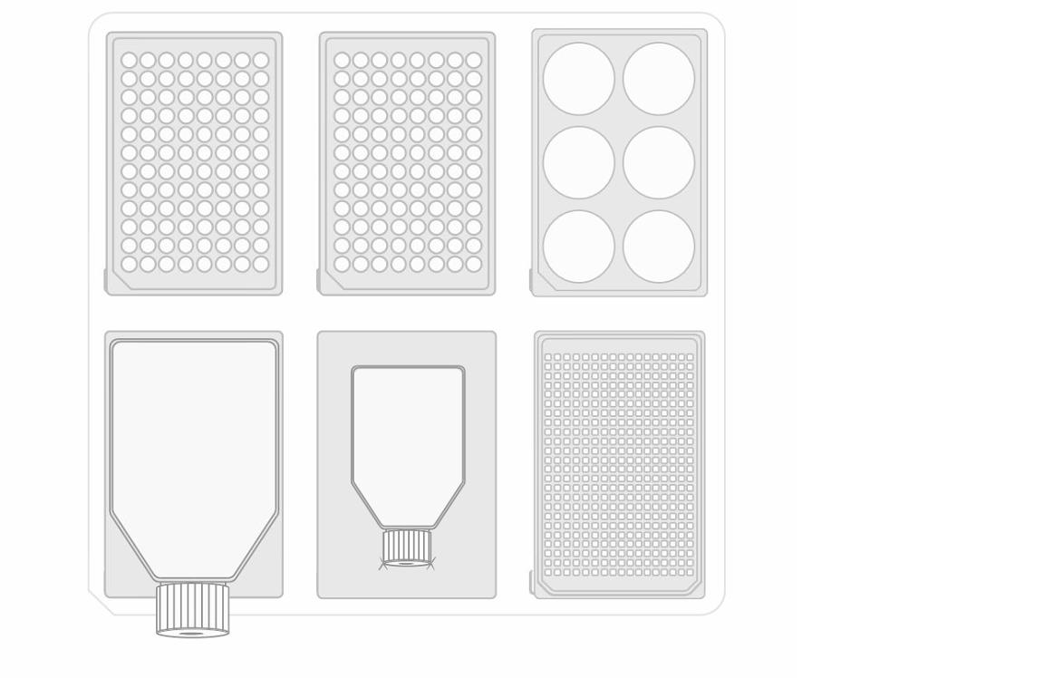 CellCyte X 平台细胞球体分析软件来袭，让3D球体实验更科学、更轻松-公司新闻-上海典奥生物科技有限公司