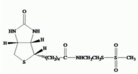 MTSEA Biotin-XX（MTSEA生物素-XX）价格_品牌:XYBio-丁香通官网