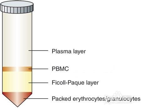 食蟹猴PBMC Monkey PBMC价格_品牌:IPHASE-丁香通