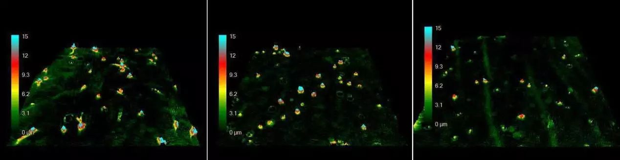 HoloMonitor M4活细胞成像系统应用于水凝胶细胞观察 - 企业动态 - 丁香通