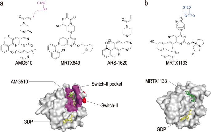 【免费试用装】高生物活性KRAS蛋白-公司新闻-北京百普赛斯生物科技股份有限公司