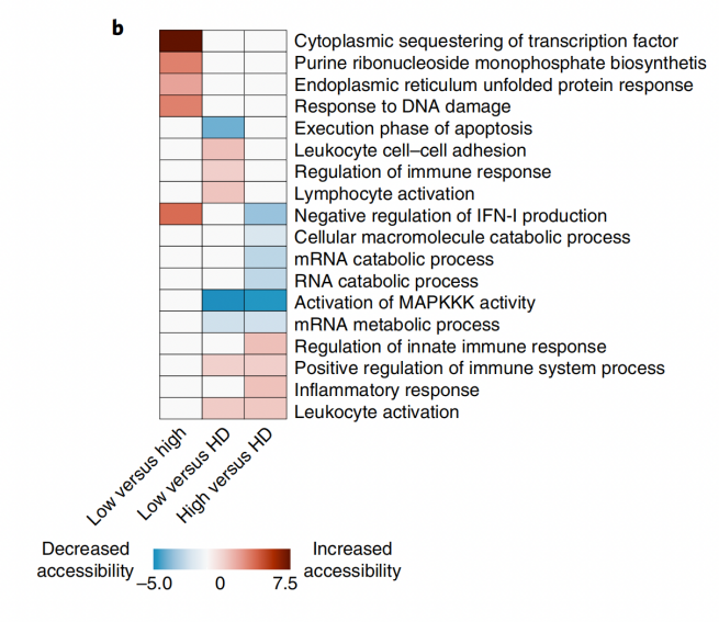 10x单细胞多组学技术揭开I型干扰素与PD1阻断疗法之间的爱恨情仇 - 企业动态 - 丁香通