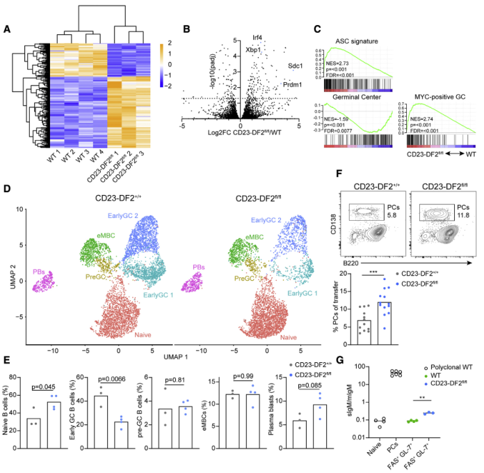 10分免疫新思路——B细胞分化命运的早期机制 - 企业动态 - 丁香通