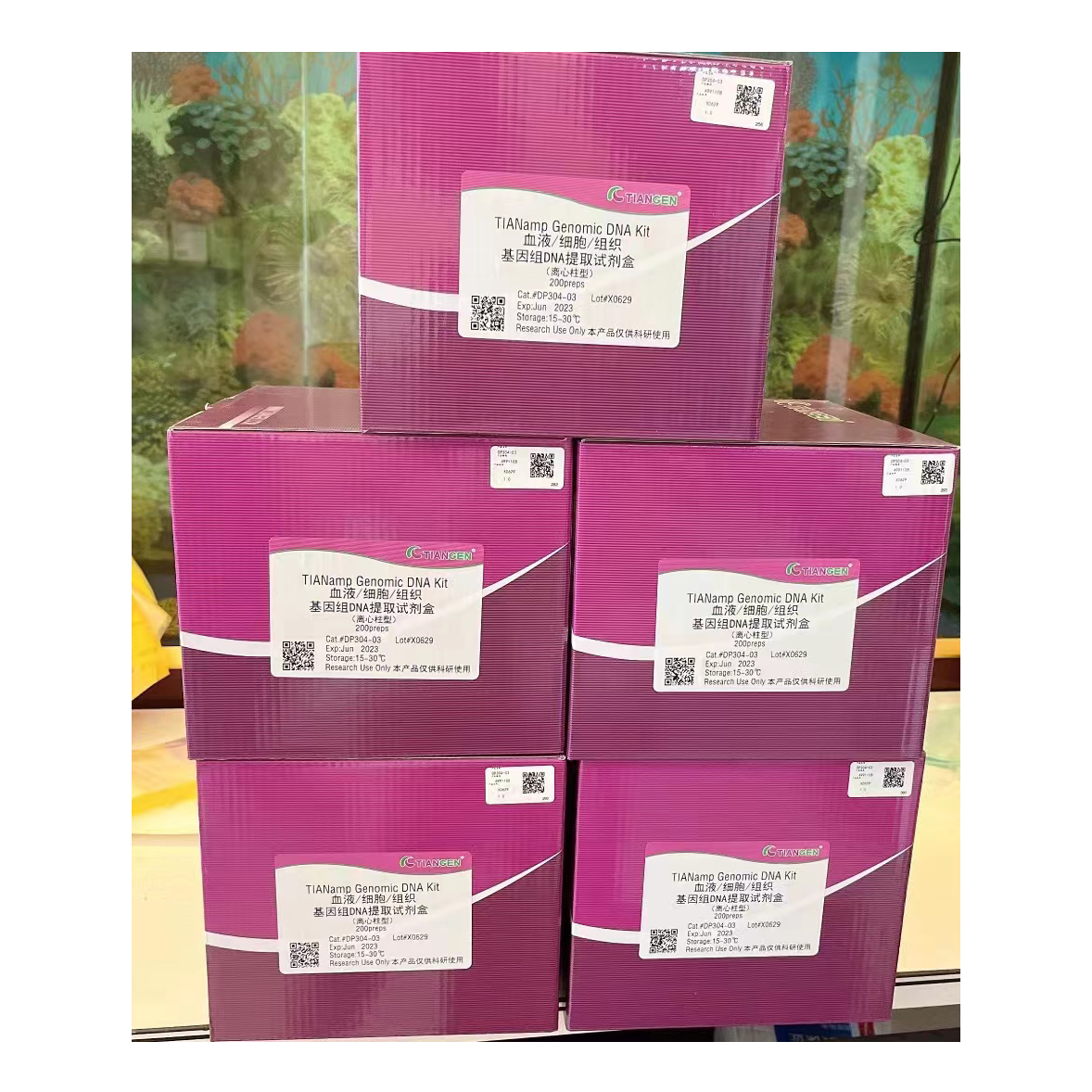 DP103-02 天根质粒小提试剂盒(DP103)价格_品牌:天根-丁香通官网