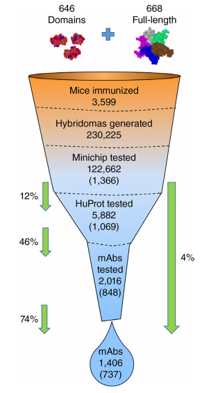 如何利用HuProt™人类蛋白质组芯片筛选高质量抗体？-公司新闻-体必康生物科技（广东）股份有限公司
