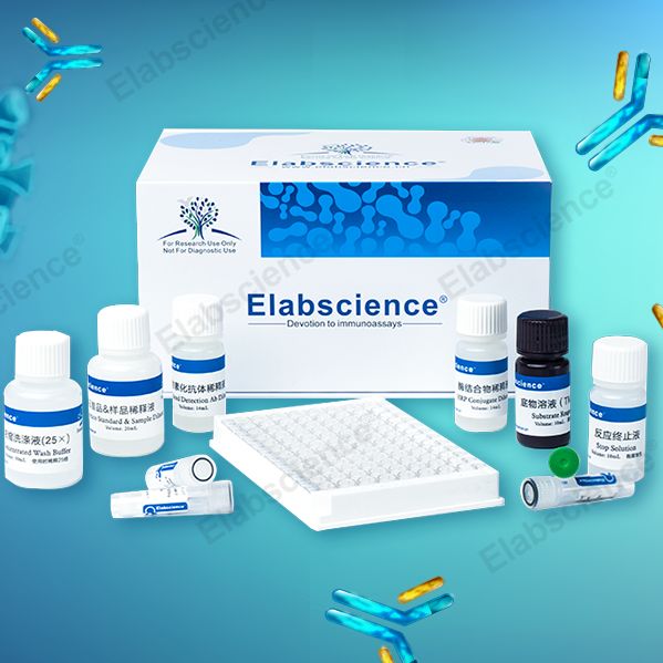 QuicKey Pro-人白介素6(IL-6)ELISA试剂盒|QuicKey Pro Human IL-6(Interleukin 6) ELISA Kit价格_品牌:Elabscience ...