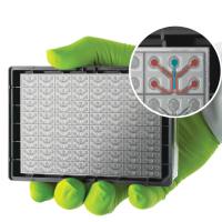 MIMETAS中国_公司主页-丁香通