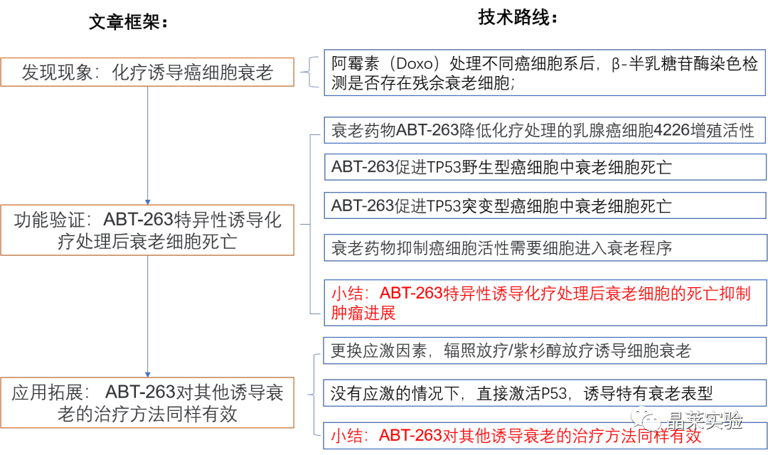 国自然热点细胞衰老研究之 “BH3类似物特异性清除化疗诱导的衰老细胞并提高对TP53野生型乳腺癌的敏感性”-技术资料-晶莱生物