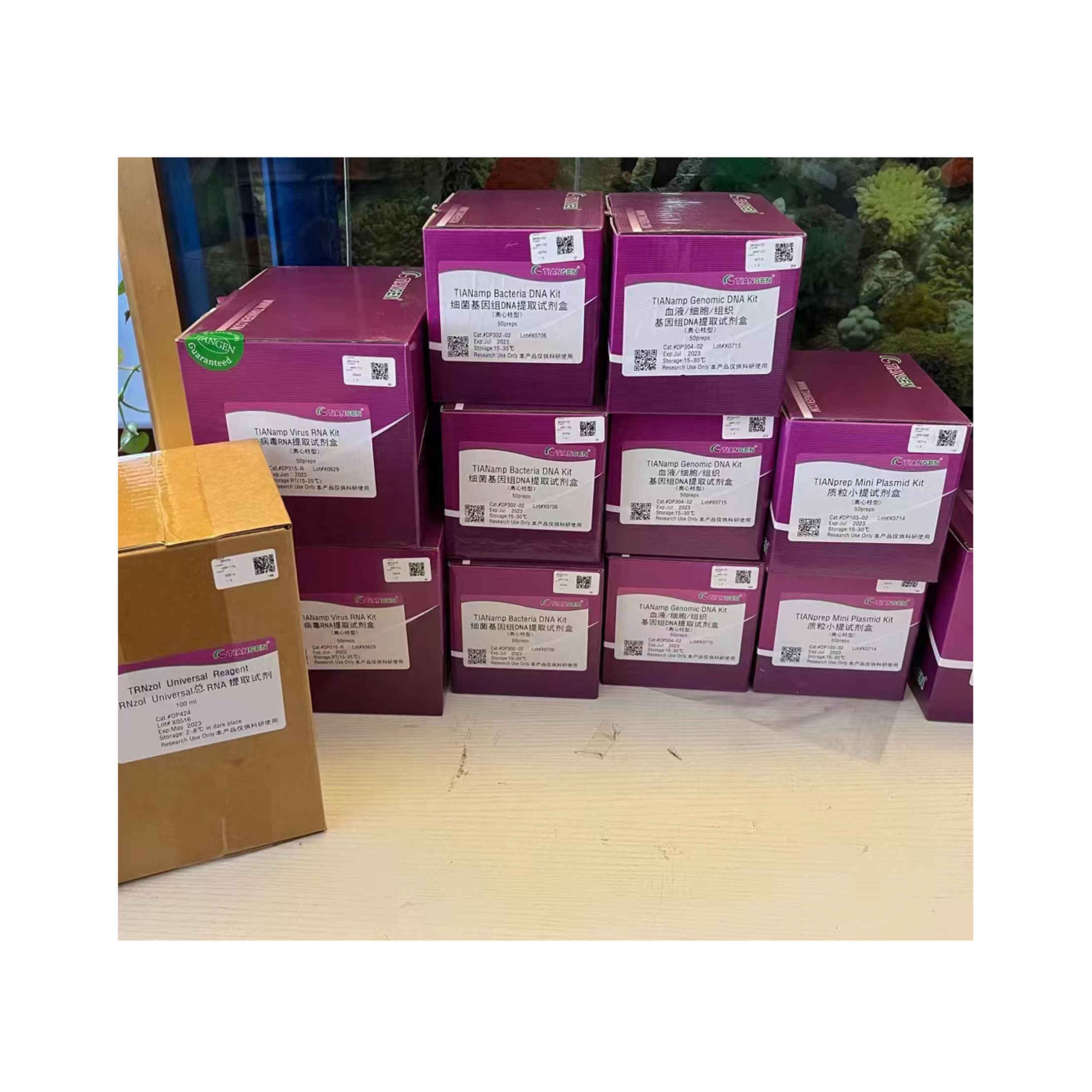 MD114-02 天根D2000 DNA Marker(MD114) 200次价格_品牌:天根-丁香通