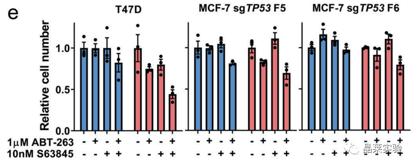 国自然热点细胞衰老研究之 “BH3类似物特异性清除化疗诱导的衰老细胞并提高对TP53野生型乳腺癌的敏感性”_科研干货_北京晶莱华科生物技术有限公司