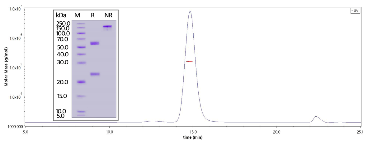 抗小分子抗体——ADC药物PK分析，要的就是你！-公司新闻-北京百普赛斯生物科技股份有限公司