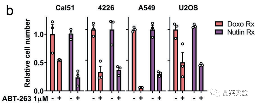 国自然热点细胞衰老研究之 “BH3类似物特异性清除化疗诱导的衰老细胞并提高对TP53野生型乳腺癌的敏感性”-技术资料-晶莱生物