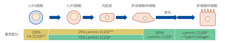 iMatrix-111价格_品牌:Matrixome-丁香通官网