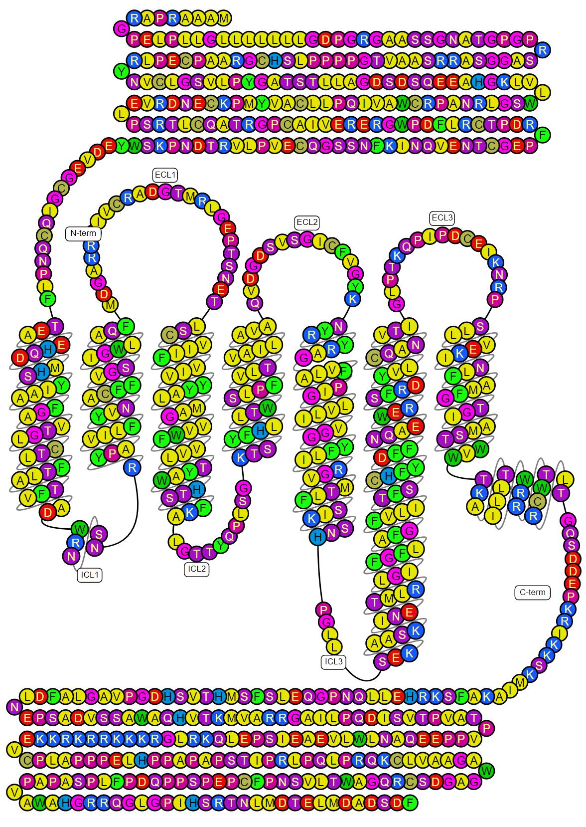 “膜杰作”新品 | GPCR家族：全长SMO蛋白-公司新闻-北京百普赛斯生物科技股份有限公司