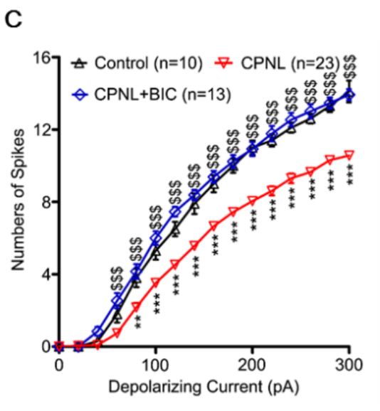 【客户文章】空军军医大学李云庆教授、董玉琳副教授团队在dmPFC-vlPAG投射神经元参与疼痛维持阈值和抗焦虑行为研究取得新进展_公司新闻_丁香通