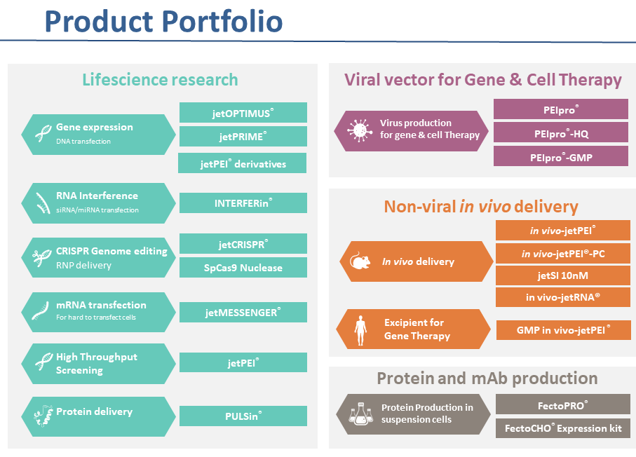 Polyplus-transfection转染试剂推荐 - 企业动态 - 丁香通