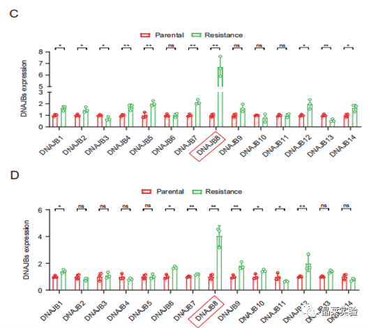 国自然热点泛素化研究之 “小细胞外囊泡中的DNAJB8通过TP53/MDR1途径促进结肠癌中的奥沙利铂耐药性” - 企业动态 - 丁香通