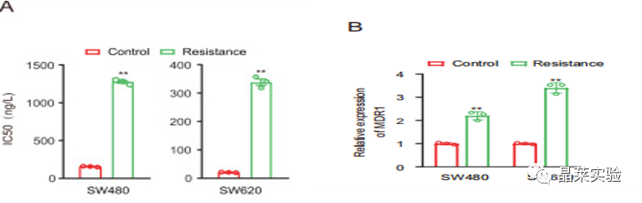 国自然热点泛素化研究之 “小细胞外囊泡中的DNAJB8通过TP53/MDR1途径促进结肠癌中的奥沙利铂耐药性”_科研干货_晶莱生物