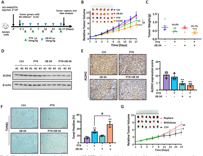 抗癌物紫杉醇的发育路，还看ALDH2的介导帮助 - 企业动态 - 丁香通