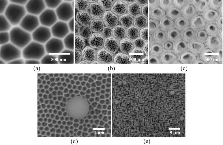 HORIBA | 前沿用户报道 | 复旦张立武课题组：加速推进环境微纳塑料研究，开发低成本SERS基底 -公司新闻-HORIBA（中国）