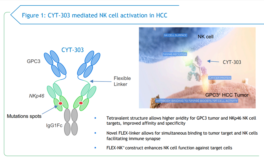 NKp46展露锋芒，推动新一代癌症免疫疗法-公司新闻-北京百普赛斯生物科技股份有限公司