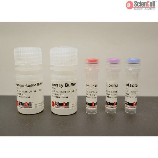 ScienCell8508 3-甘油磷酸脱氢酶检测试剂盒 GPDH，Glycerol-3-phosphate Dehydrogenase ...