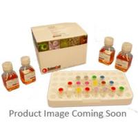 BioLegend 420801 Fixation Buffer价格_品牌:BioLegend-丁香通