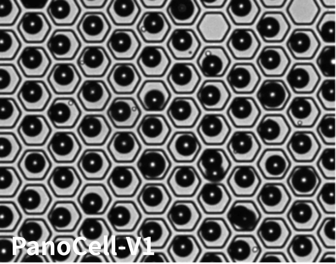 11999元升级版单细胞测序长啥样？数据测评火热出炉 - 企业动态 - 丁香通