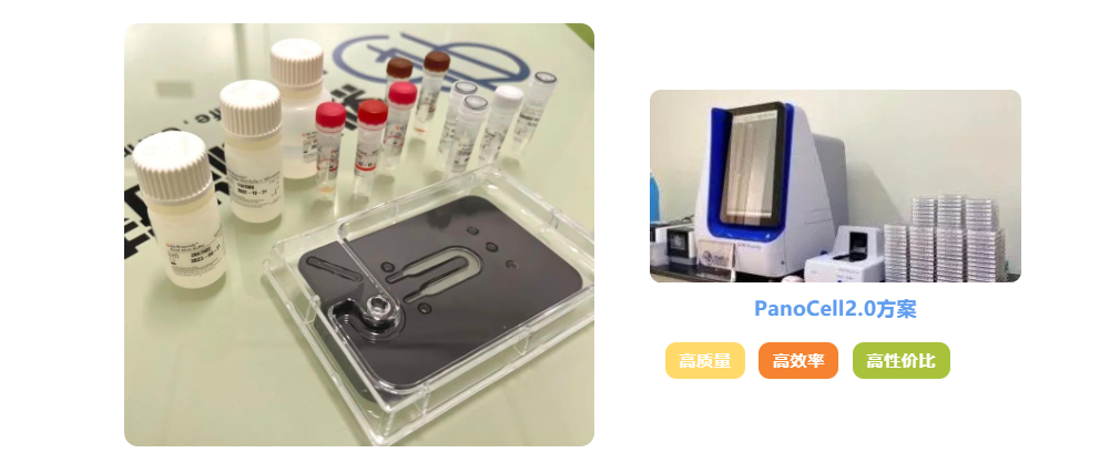 11999元升级版单细胞测序长啥样？数据测评火热出炉 - 企业动态 - 丁香通