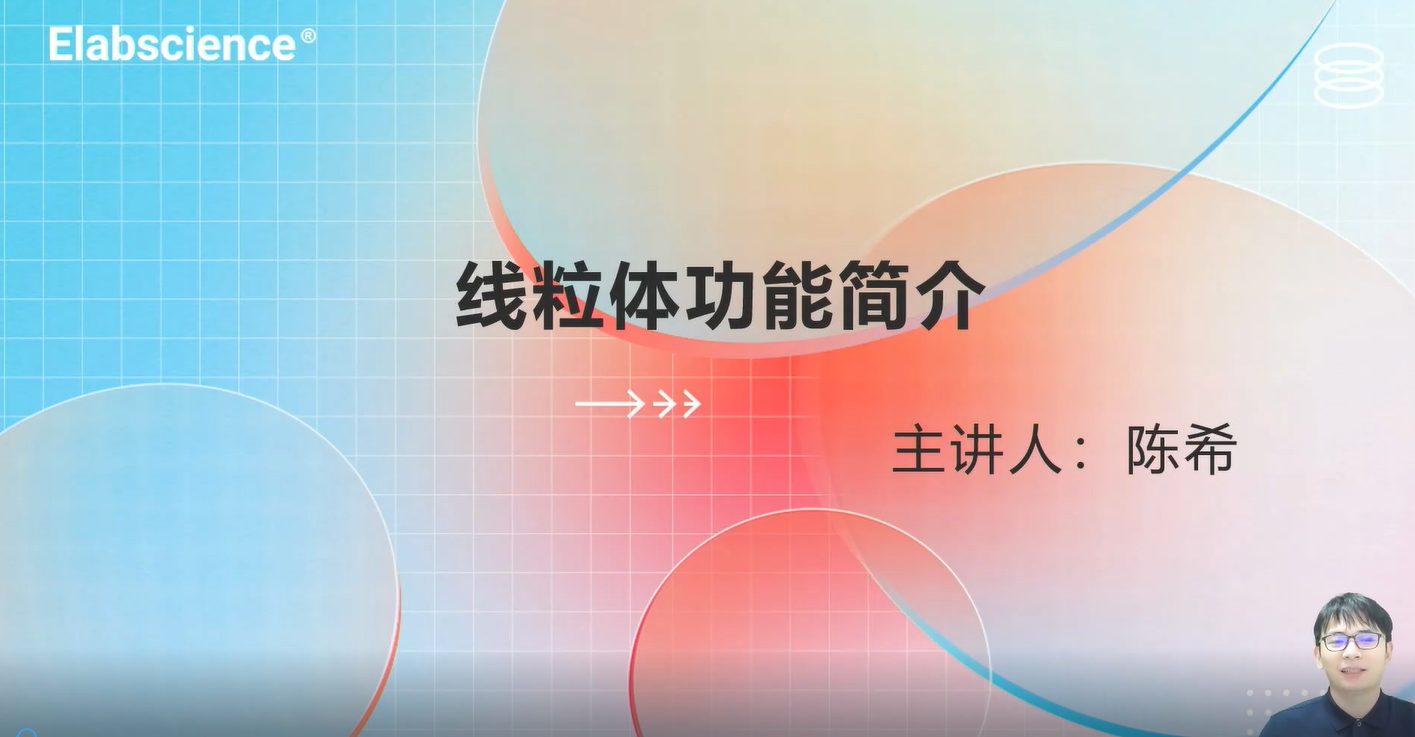 Elabscience_线粒体呼吸链复合体检测的意义及应用-公司新闻-武汉伊莱瑞特生物科技股份有限公司