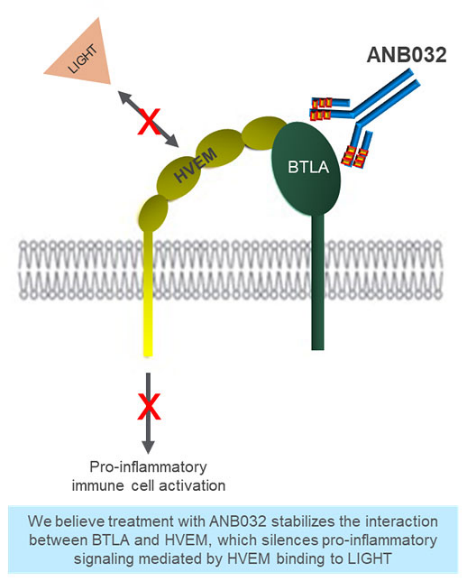 Tifcemalimab曙光初现，BTLA另辟蹊径突破PD-1内卷化-商家动态-资讯-生物在线